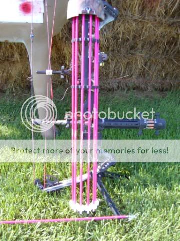 Pink Arrows for Christmas? | Archery Talk Forum
