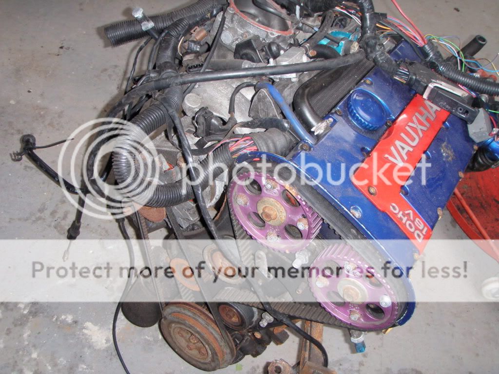 C20XE Engine with QED Cams and Vernier Pulleys